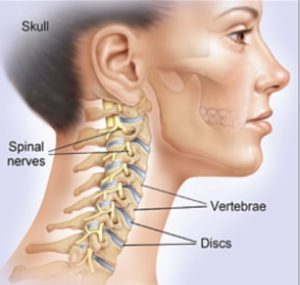 Why does my neck hurt when I turn it? A guide to mechanical neck pain ...