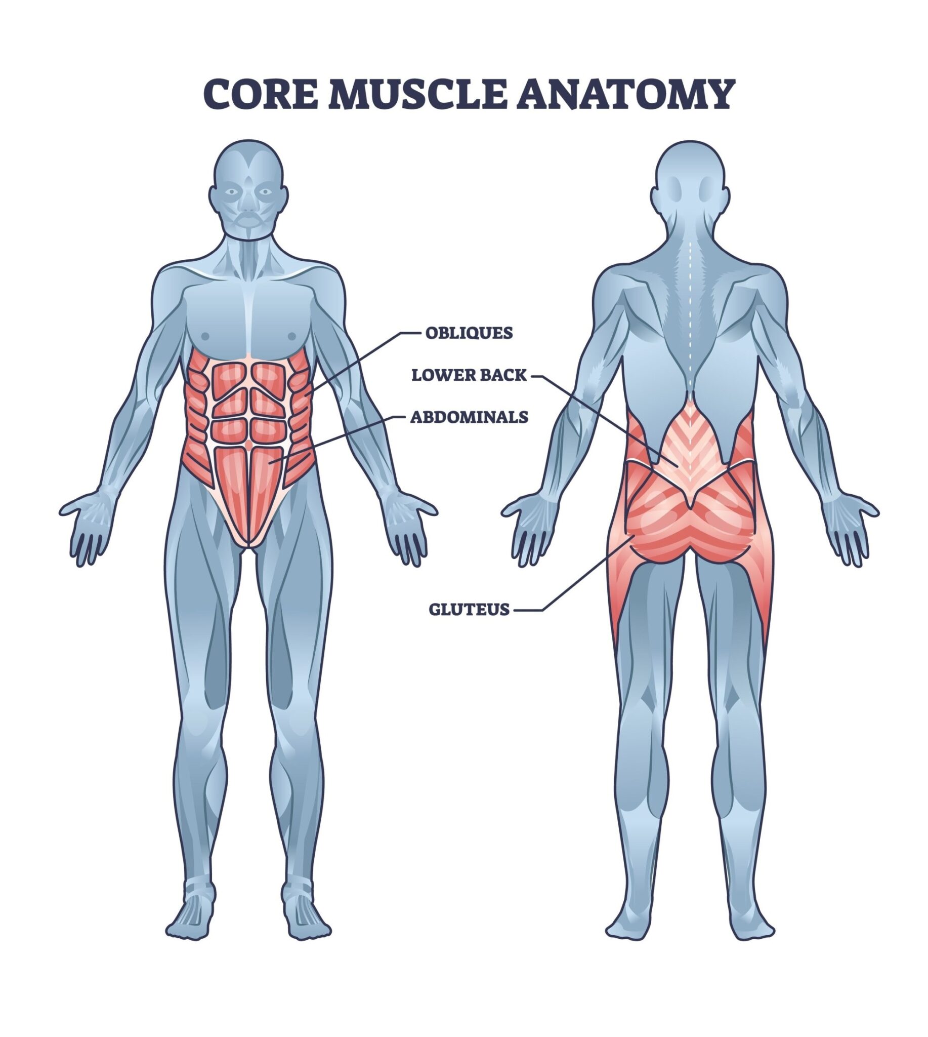 How to stop getting a stitch when running - Align Body Clinic